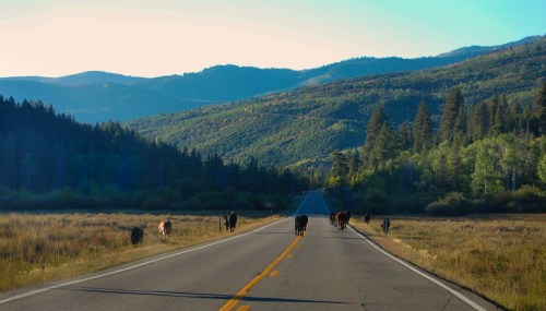 13 Scenic Drives in Utah for Stunning Views