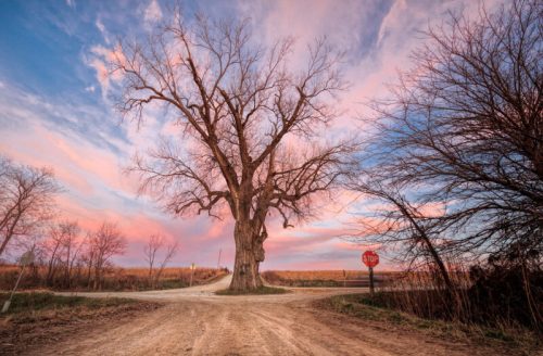 Top 10 Scenic Country Roads in Iowa for a Picturesque Drive