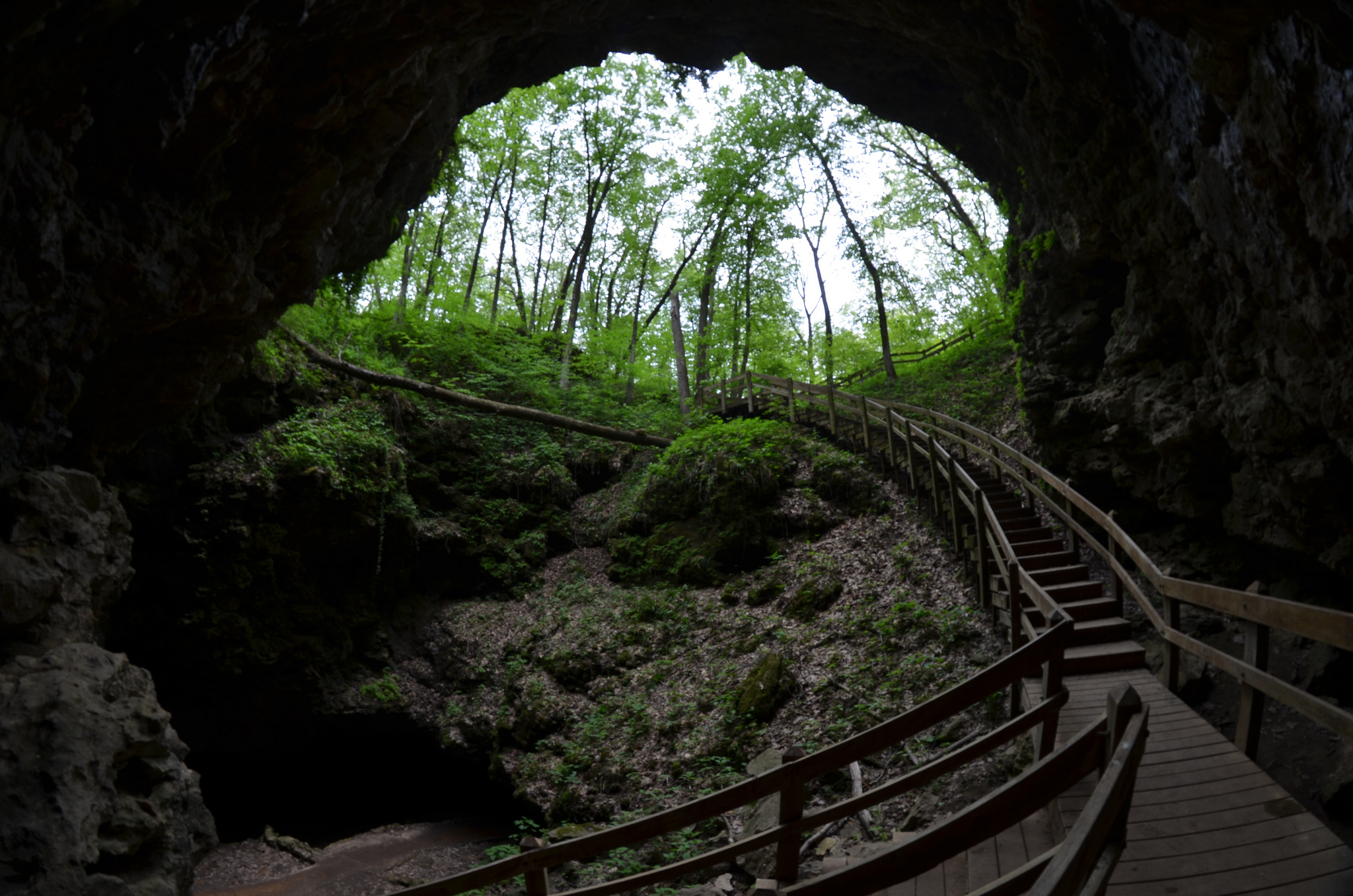 10 Beautiful Natural Wonders In Iowa You’ll Want To Explore