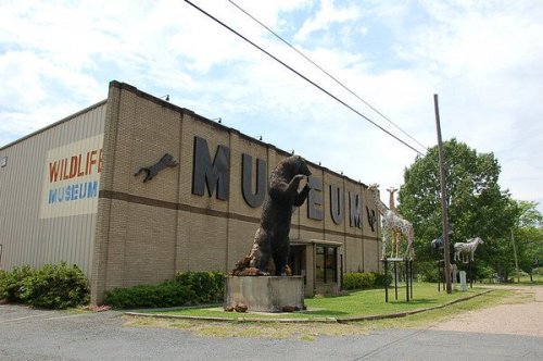 You've Got To Check Out These 9 Hidden Attractions In Louisiana
