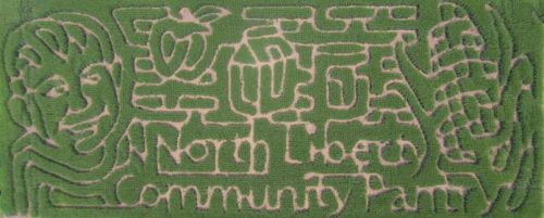 10 Corn Mazes In Iowa You Have To Do This Fall