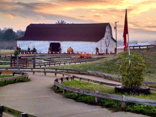The 8 Best Corn Mazes in Virginia