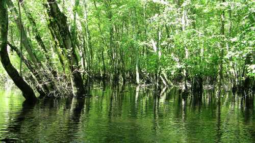 12 Of The Best Rivers In New Jersey