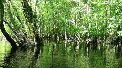12 Of The Best Rivers In New Jersey