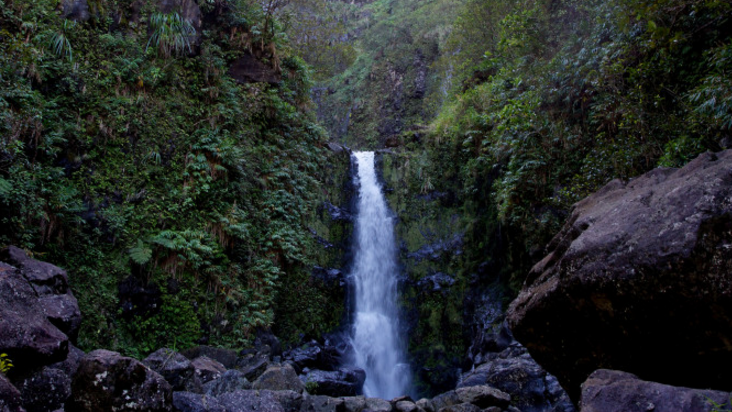 You’ll Be Blown Away By These 12 Amazing Forest Reserves In Hawaii