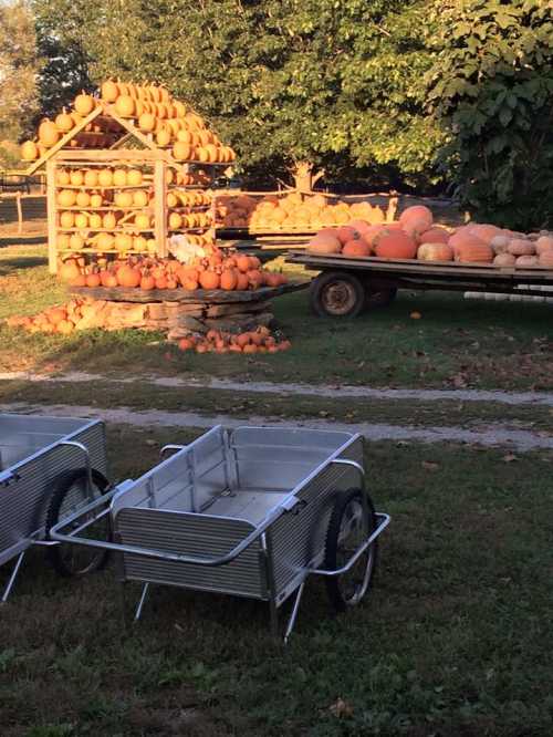 The Best Pumpkin Patches In Kentucky To Visit This Fall