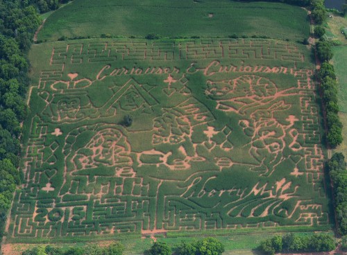 The 8 Best Corn Mazes in Virginia