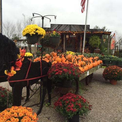 The Best Pumpkin Patches In Kentucky To Visit This Fall