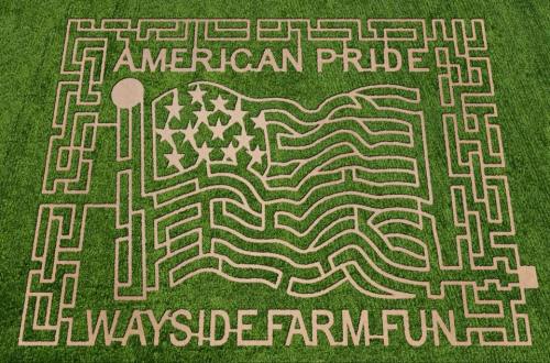 The 8 Best Corn Mazes in Virginia