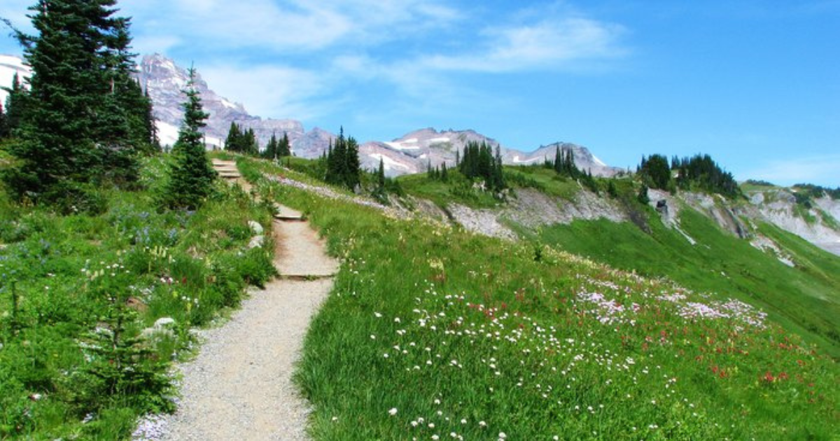 The Ultimate Washington State Bucket List Of Adventures