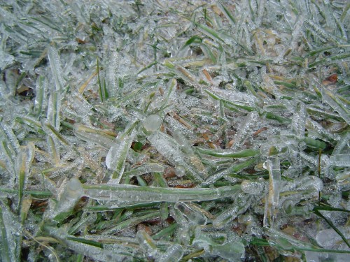 8 Spectacular Frozen Sights: Winter in Nebraska