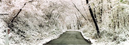 8 Spectacular Frozen Sights: Winter in Nebraska