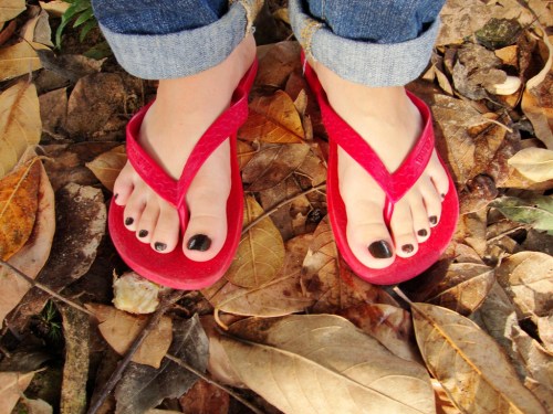 11 Extremely Weird Things: What People From Florida Do