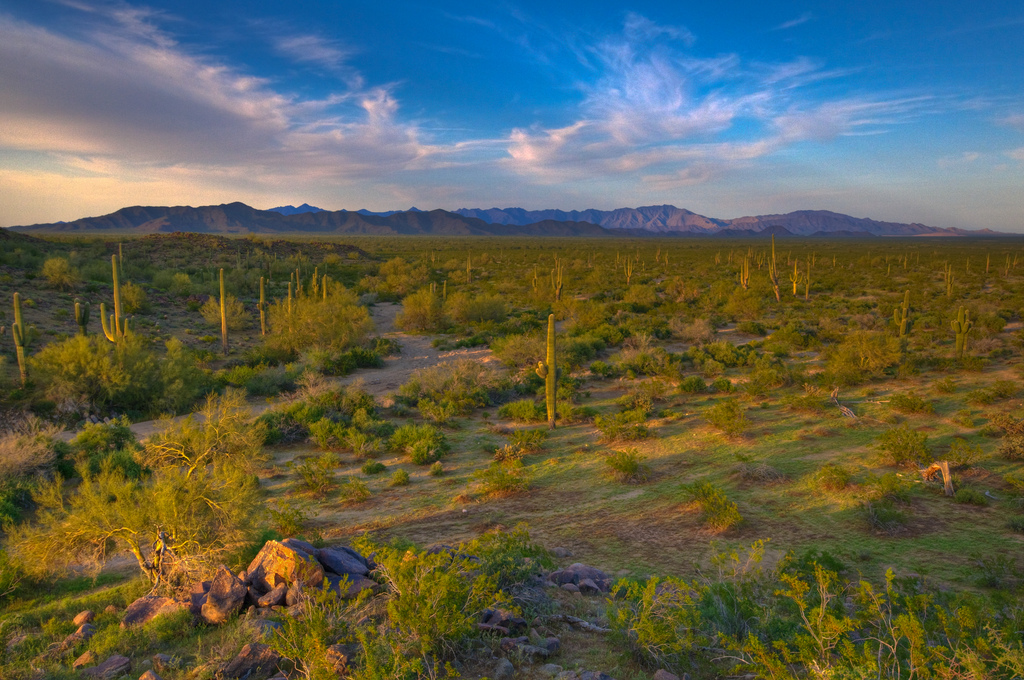 Lost Treasures In Arizona Have Fascinating Tales Behind Them