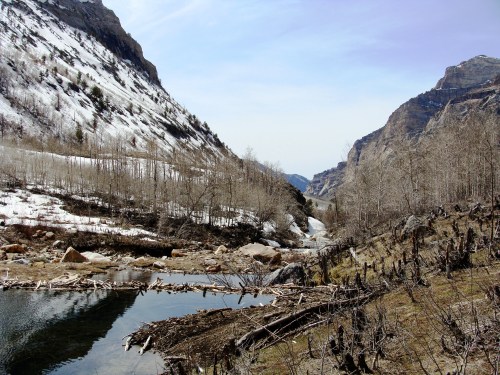 15 Most Beautiful Places in Nevada to Add to Your Bucket List