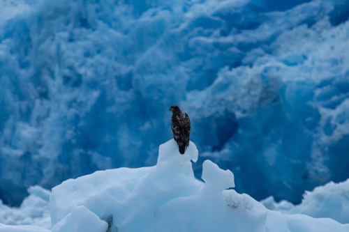 10 Photos Of Alaska Winters That Will Drop Your Frozen Jaw
