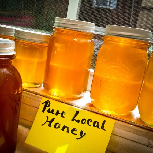 6 Amish Places In Tennessee That Are Worth Visiting