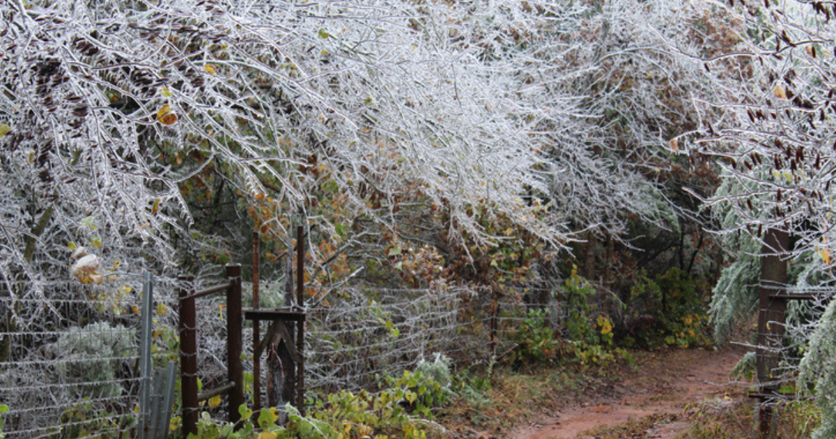 15 Spots In Oklahoma That Will Drop Your Frozen Jaw This Winter