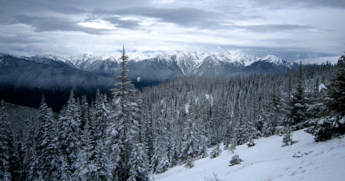 9 Spots In Washington That Will Drop Your Jaw This Winter