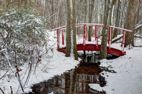 10 Jaw-Dropping Places To Experience Winter In Alabama