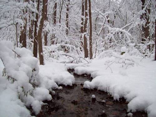 14 Spots in Texas That Will Drop Your Frozen Jaw This Winter
