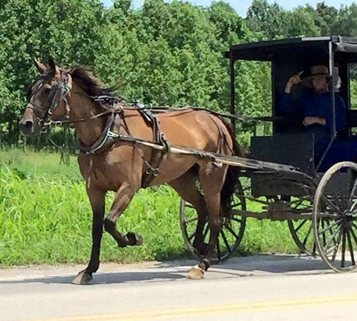 6 Amish Places In Tennessee That Are Worth Visiting
