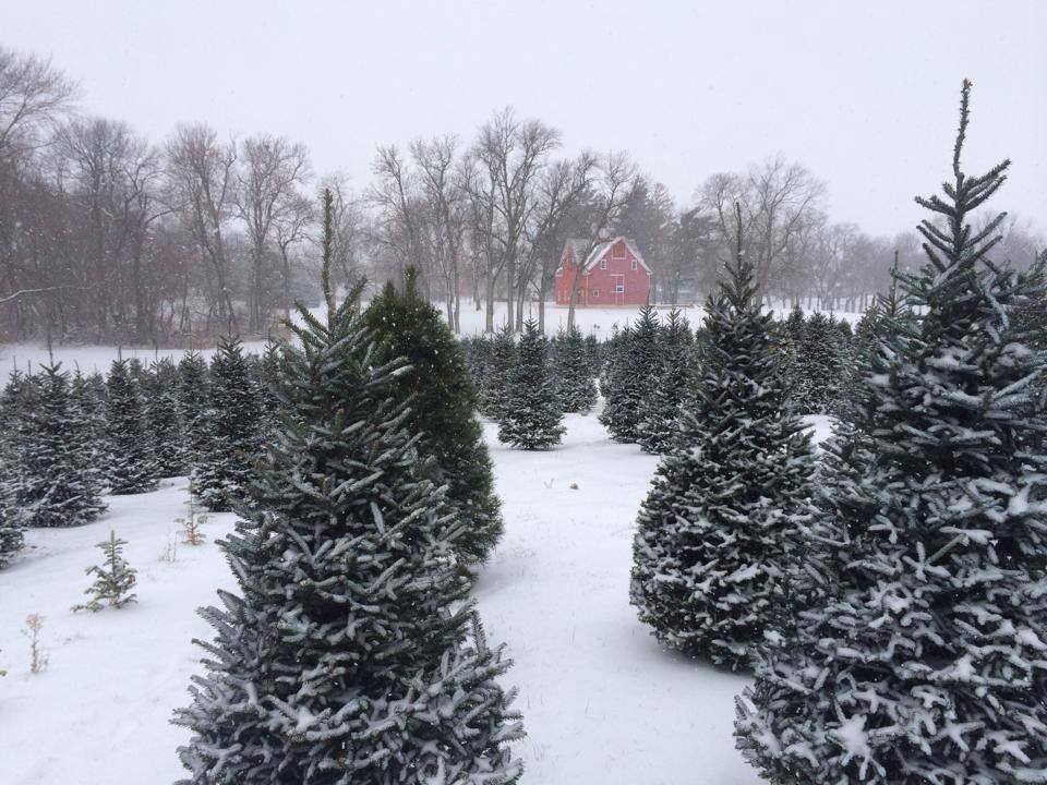 Great Places To Visit In Iowa In Winter