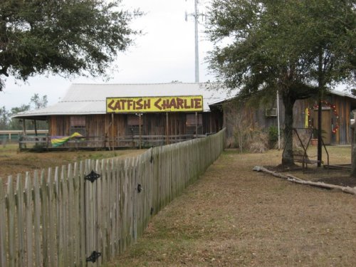 These 10 Restaurants Serve The Best Catfish In Mississippi
