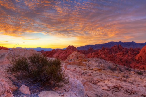 Explore 50 Stunning Natural Wonders Across the United States