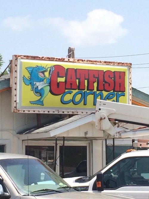 These 10 Restaurants Serve The Best Catfish In Mississippi