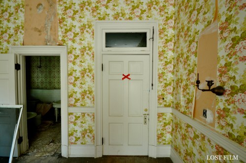 The Formerly Abandoned Selma Mansion In Virginia Is Amazing