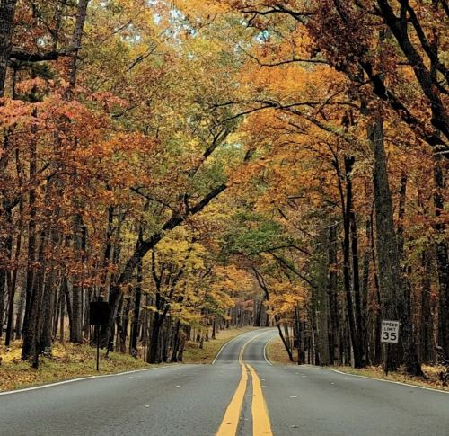 8 Gorgeous Scenic Drives In South Carolina