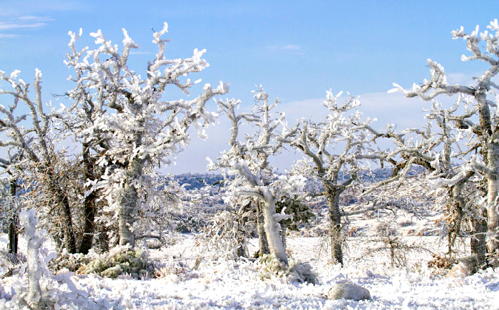 14 Oklahoma Winter Vacations That You'll Love