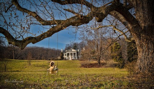 The Formerly Abandoned Selma Mansion In Virginia Is Amazing