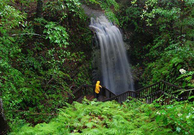 Waterfall Parks In Florida The Best Waterfall In Every U.S. State