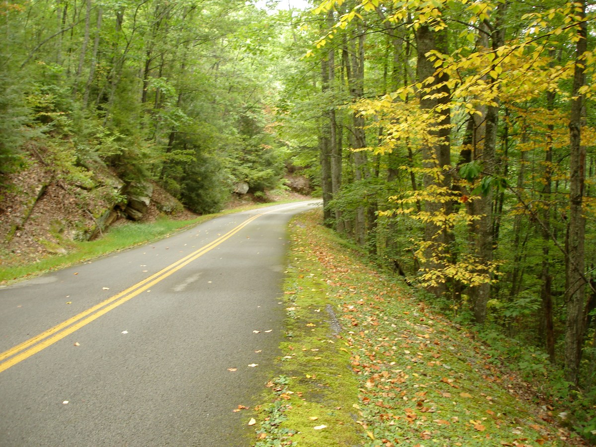 6 Unforgettable Road Trips In Kentucky You'll Want to Take
