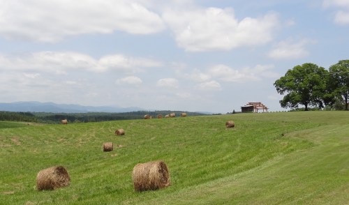 8 Gorgeous Scenic Drives In South Carolina