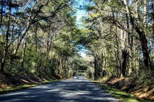 8 Gorgeous Scenic Drives In South Carolina