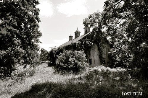 The Formerly Abandoned Selma Mansion In Virginia Is Amazing