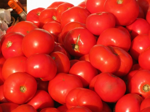 New Jersey Food: 10 Iconic, Mouthwatering Items