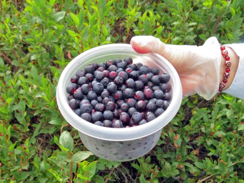 12 Most Iconic Washington State Food Items