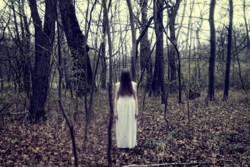 Dogtown In Massachusetts Is A Creepy Ghost Town