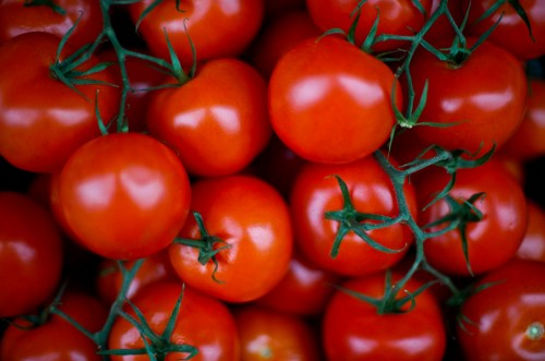 These Are Some Of The Most Popular Utah Foods