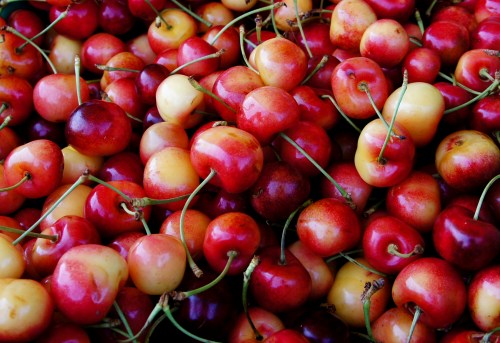 12 Most Iconic Washington State Food Items