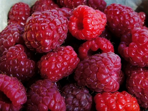 These Are Some Of The Most Popular Utah Foods