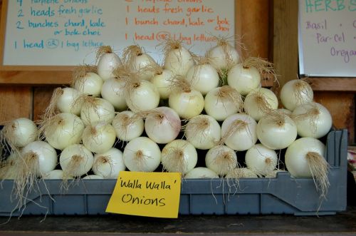 12 Most Iconic Washington State Food Items