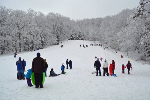 8 Great Places For Sled Riding and Snow Tubing In West Virginia
