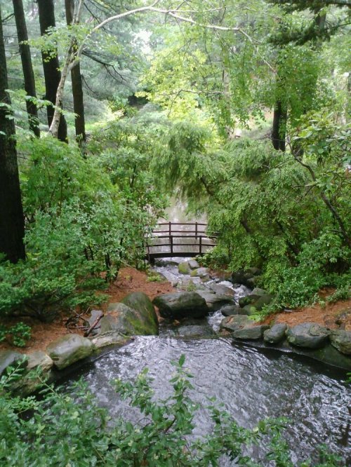 Visit The 9 Best Playgrounds In Massachusetts For Some Family Fun