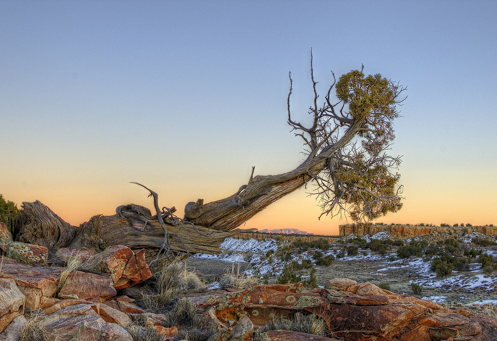 12 Stunning Photos That Will Remind You Why New Mexico Is The Best State