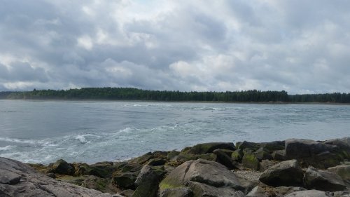 Reversing Falls Park In Maine: Strange Natural Phenomenon